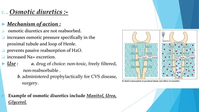 diuretics 1.pptx