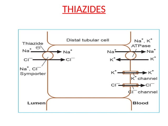 DIURETICS 15-09-23.pptx diuretics classification, mechanism of action ...