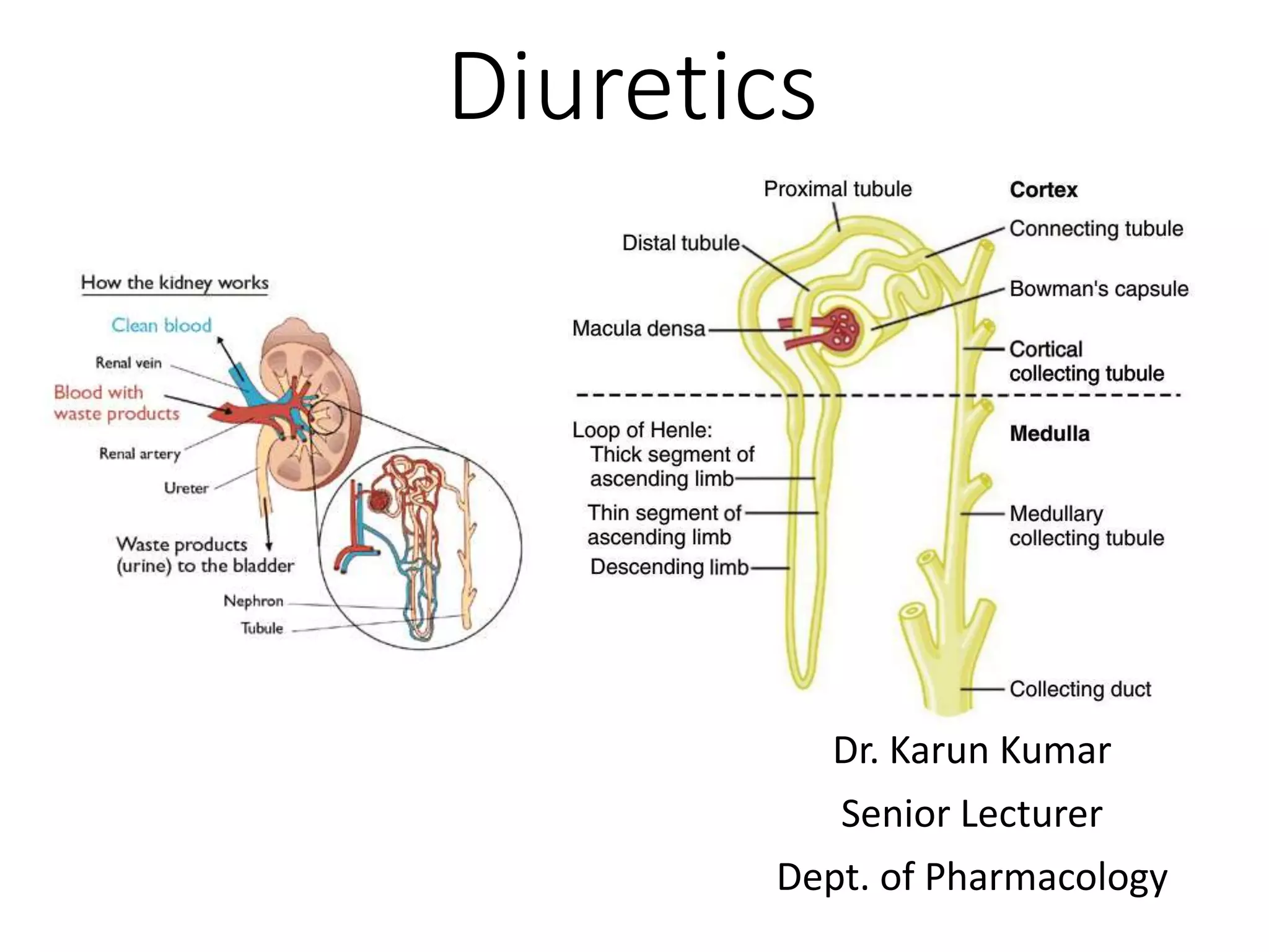 Diuretics | PPTX