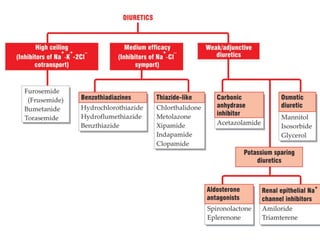 Diuretics | PPTX