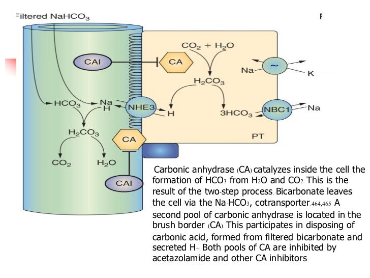 Diuretics2