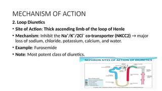 Mechanisms and Management of diuretics and loops | PPTX