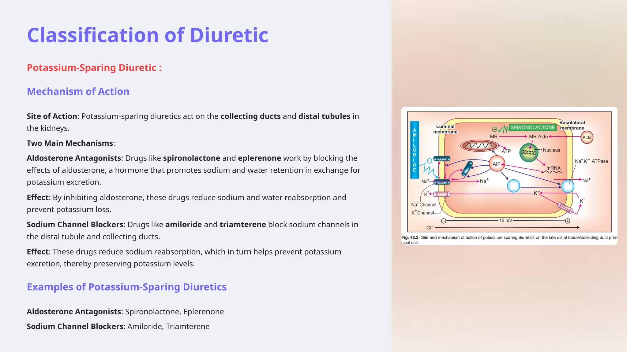 DIURETICS diuretics, classification, mechanism of action, site of ...