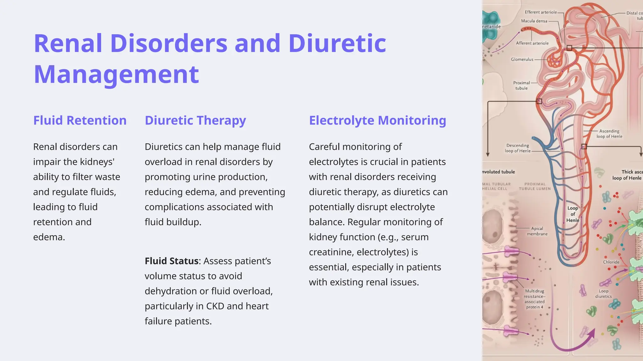 DIURETICS diuretics, classification, mechanism of action, site of ...