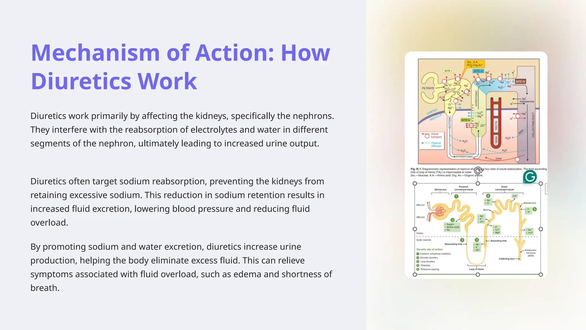 DIURETICS diuretics, classification, mechanism of action, site of ...