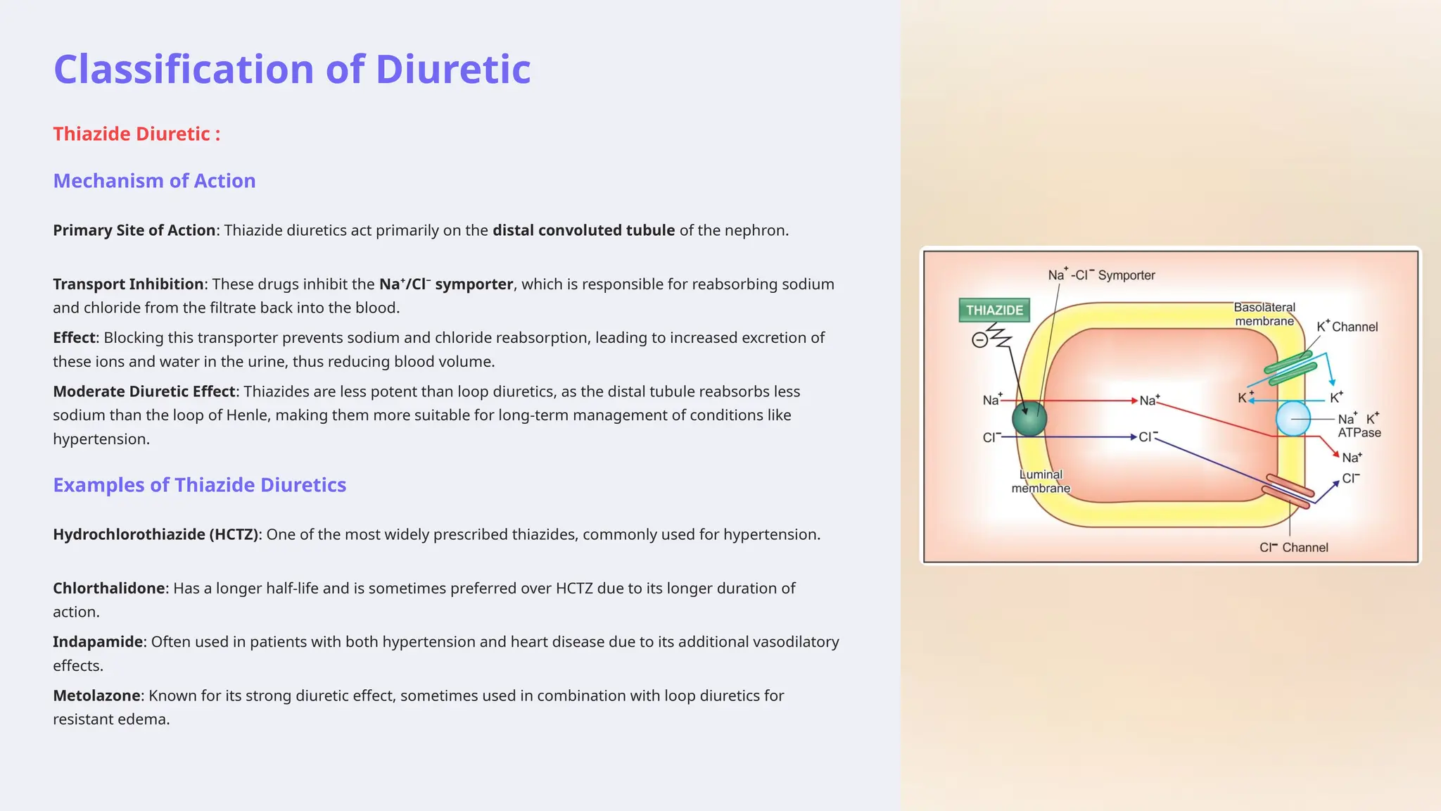 DIURETICS diuretics, classification, mechanism of action, site of action, side effect | PPTX ...