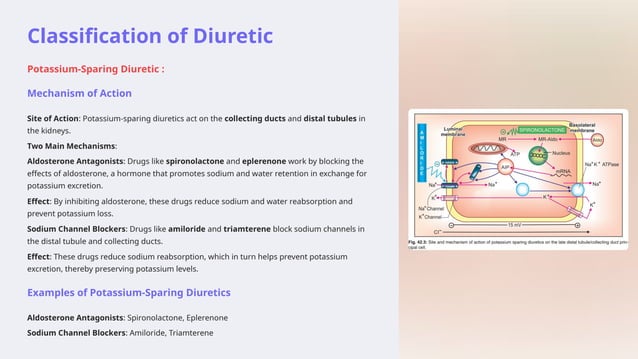 DIURETICS diuretics, classification, mechanism of action, site of ...