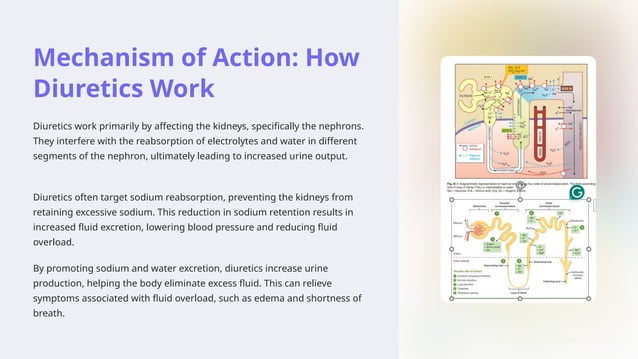 DIURETICS diuretics, classification, mechanism of action, site of ...