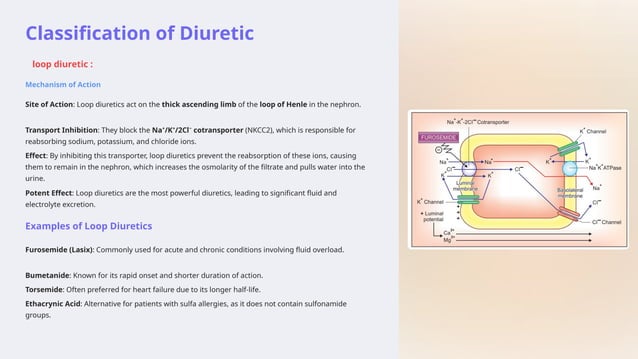 DIURETICS diuretics, classification, mechanism of action, site of ...