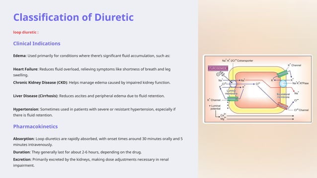 DIURETICS diuretics, classification, mechanism of action, site of ...