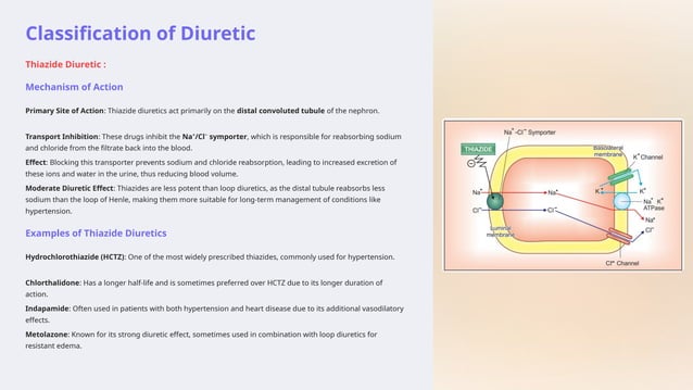 DIURETICS diuretics, classification, mechanism of action, site of ...