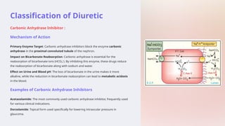 DIURETICS diuretics, classification, mechanism of action, site of ...