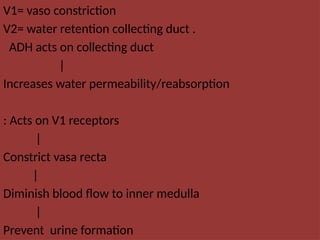 DIURETICS AND ANTIDIURETICS DRUGS by snap | PPTX