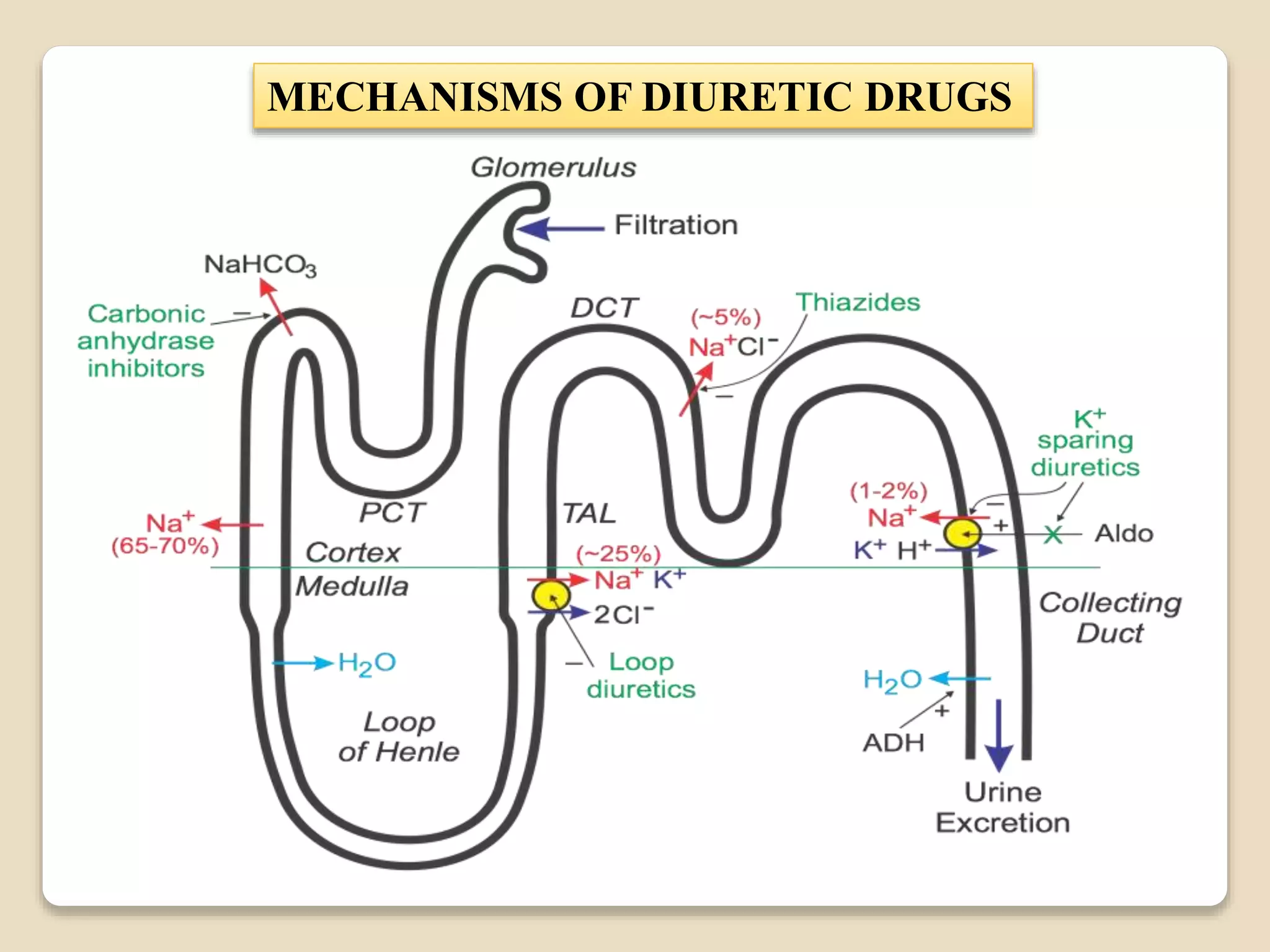 Diuretics and CA inhibitors | PPTX | Chemistry | Science