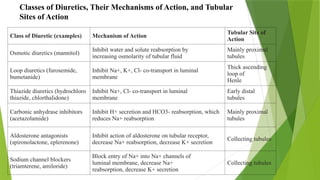 Diuretics and Kidney Dieases overview for medicalstudents.pptx