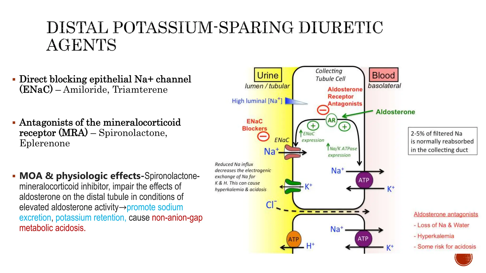 diuretics and use.pptx