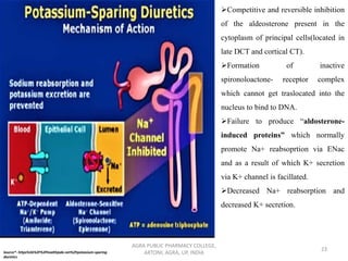 Diuretics & anti diuretics | PDF