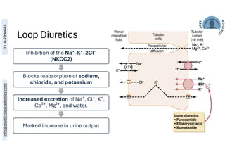 Diuretics (mechanism of action, Uses and Clinical Consequences) | PDF