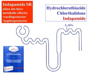 Drugs affecting the renal system Diuretics in ppt | PPT