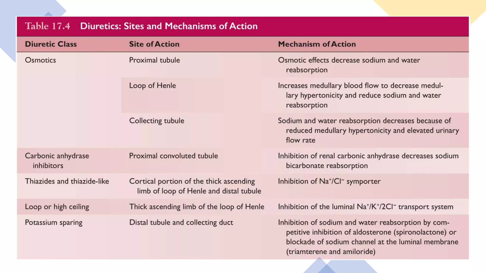 Medicinal Chemistry of Diuretics | PPTX