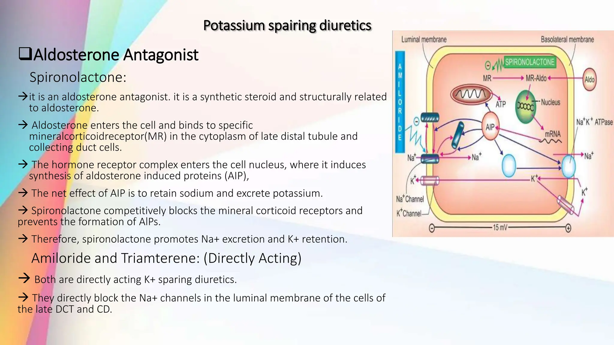 Diuretics and antidiuretics detail STUDY | PPTX