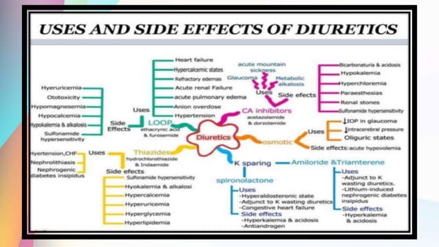 Diuretics and antidiuretics detail STUDY | PPT