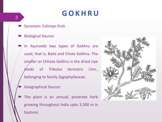 DIURETICS - PHARMACOGNOSTIC NOTE ON GOKHRU AND PUNARNAVA. | PDF