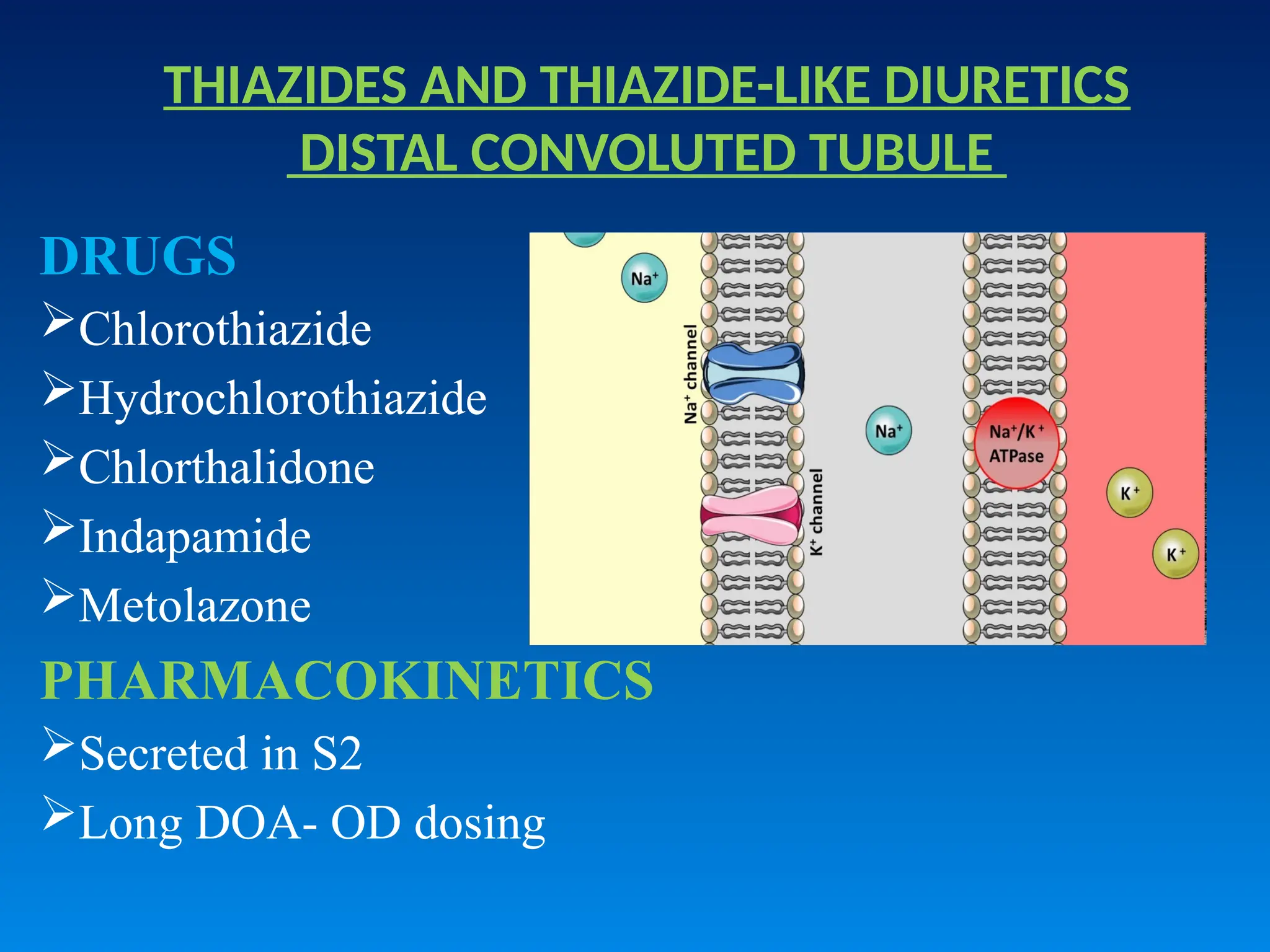 Pharmacology of diuretics with flow charts .pptx