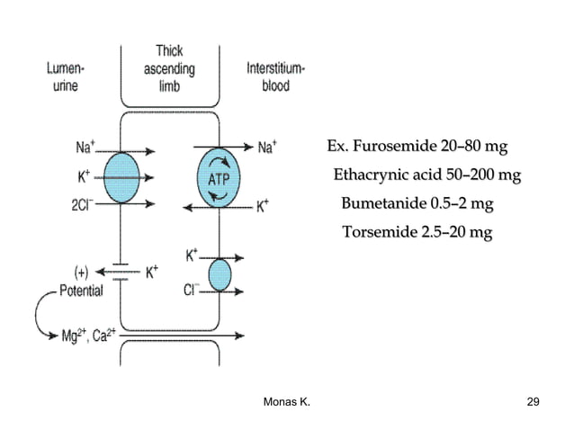 Diuretics pharmacology-Monas.ppt