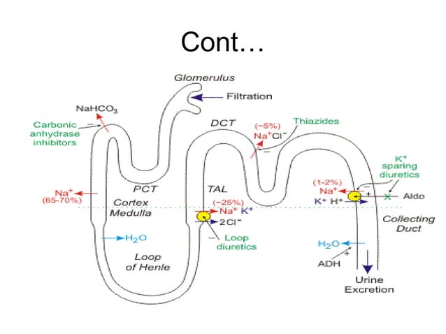 Diuretics pharmacology-Monas.ppt