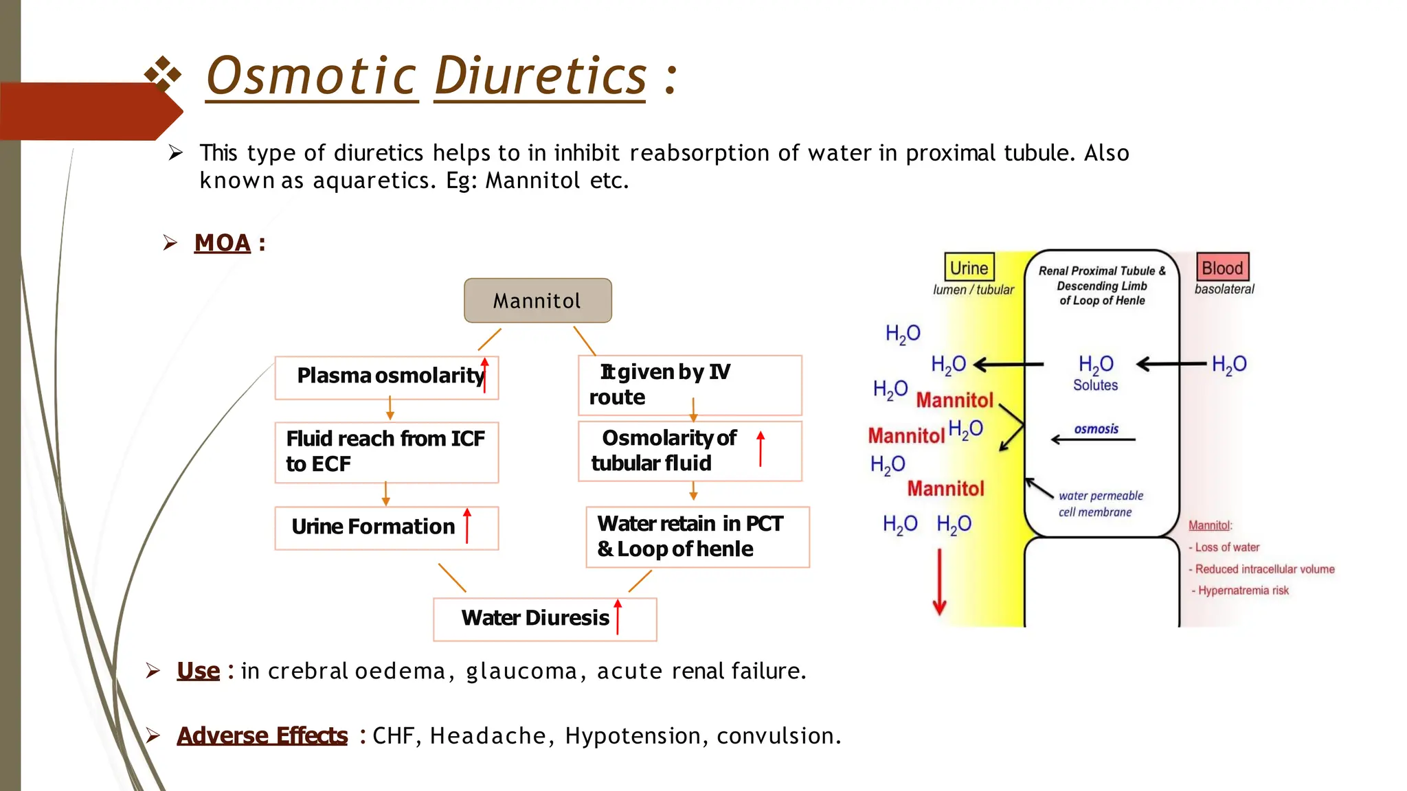 ( Diuretics Medicines ) Pharmacology II pptx.pdf