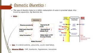 ( Diuretics Medicines ) Pharmacology II pptx.pdf