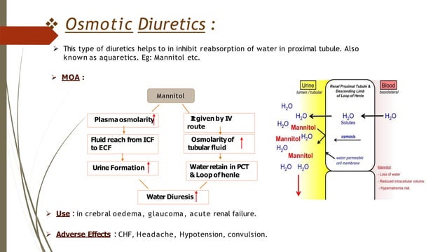 ( Diuretics Medicines ) Pharmacology II pptx.pdf