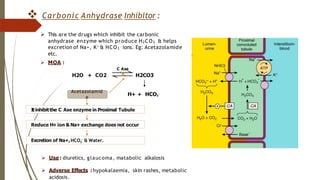 ( Diuretics Medicines ) Pharmacology II pptx.pdf