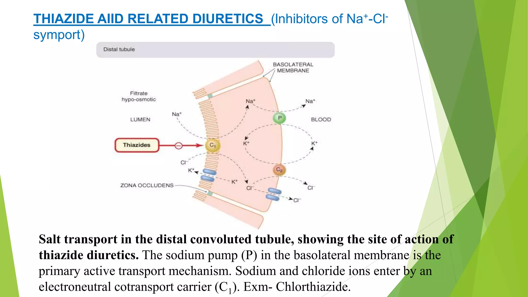 Diuretics & Their Mechanism.PPT