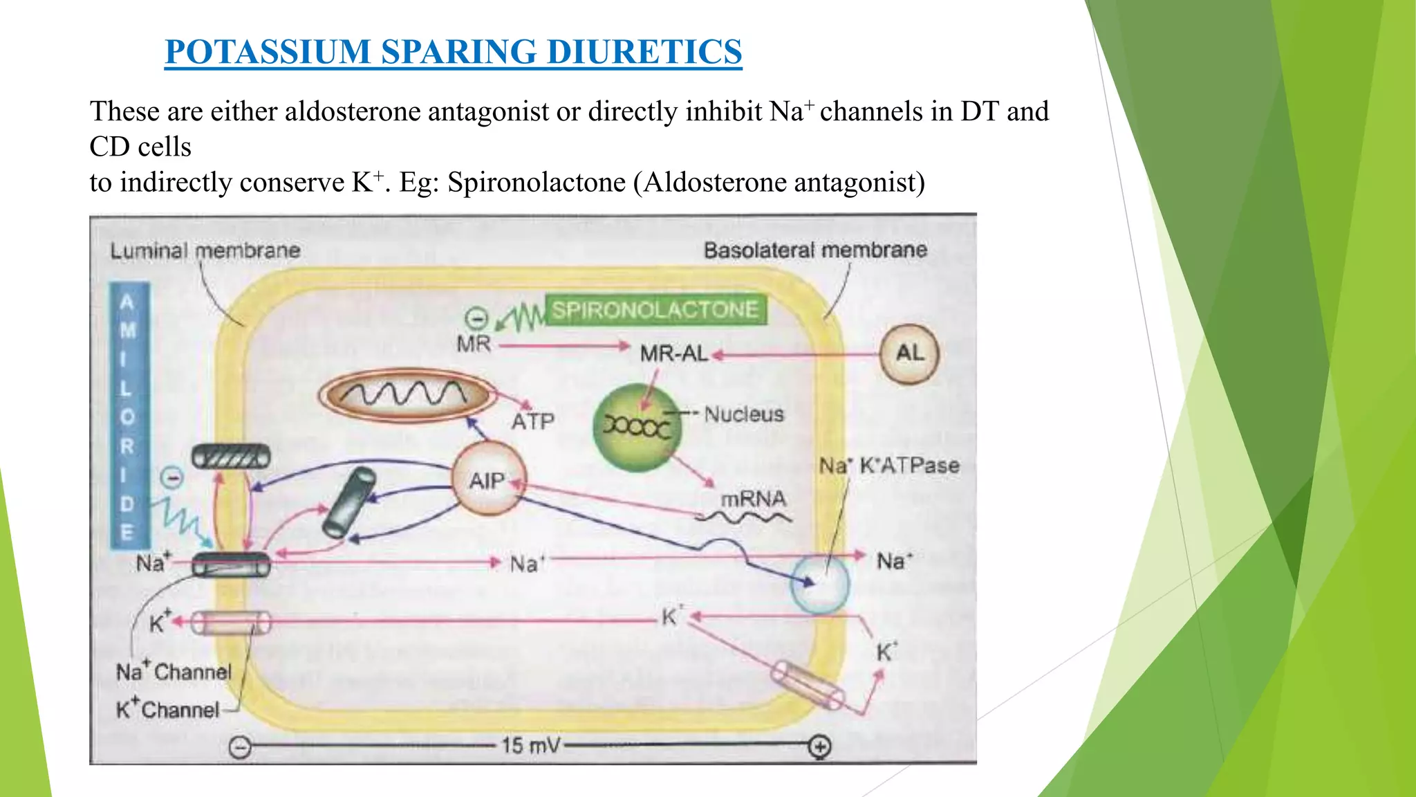 Diuretics & Their Mechanism.PPT