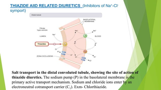 Diuretics & Their Mechanism.PPT