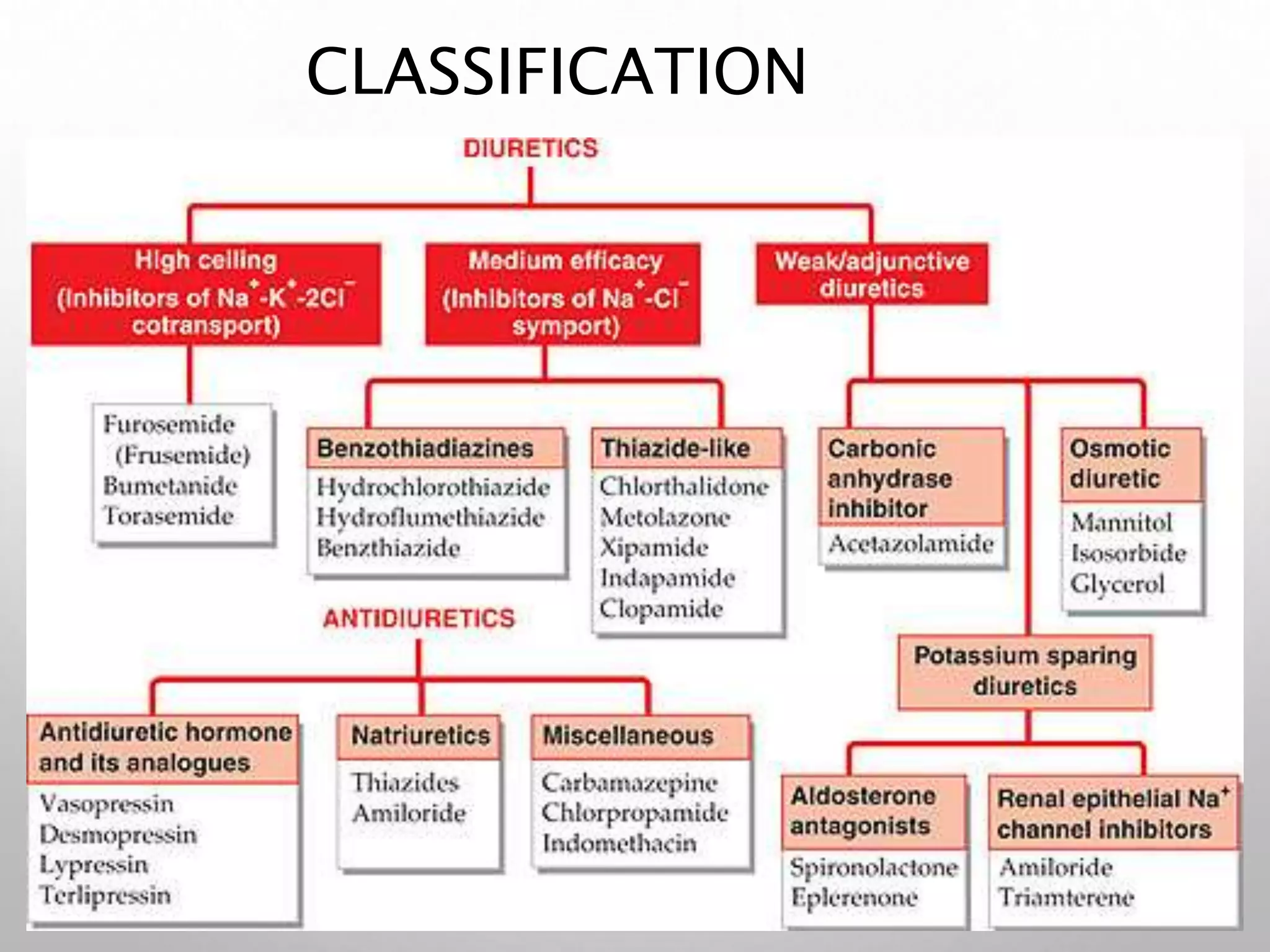 DIURETICS ppt by Ms.Aishwarya Teli | PPTX