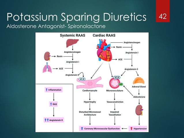 diuretics_ppt_pharmacology semester 5 - | PPT