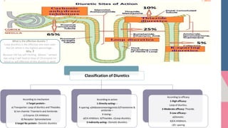 Diureticss.pdf