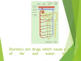 Diuretics | PPT