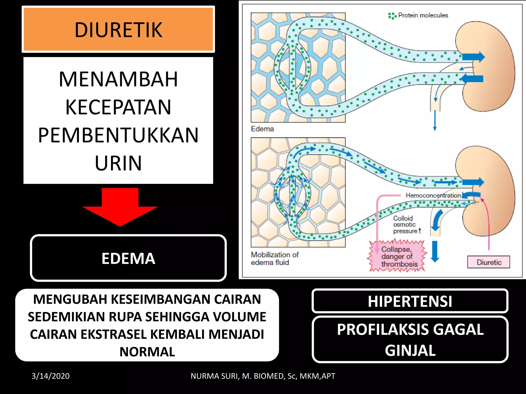 Diuretik | PDF | Pharmaceutical Drugs | Medical Health