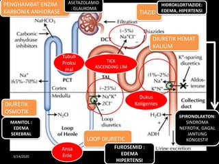 Diuretik | PDF | Pharmaceutical Drugs | Medical Health