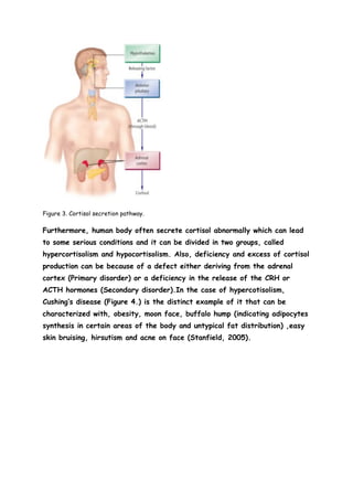 Diurnal rhythm of cortisol | PDF