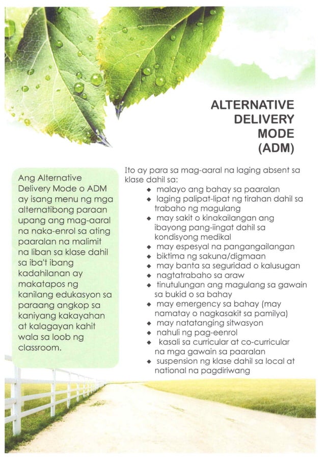 DIV.MEMO318 r318 June 30, 2025- SUBMISSION OF ALTERNATIVE DELIVERY MODE (ADM) ACTION PLAN.pdf