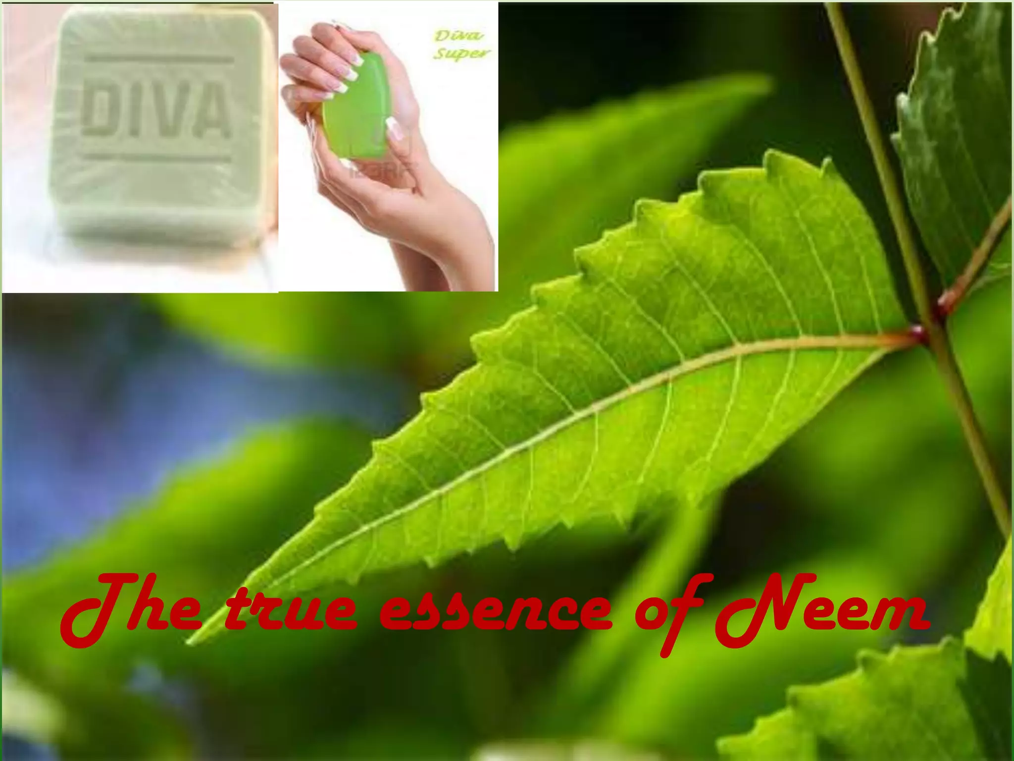 Diva- Soap Case Study | PPT