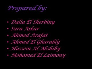 Diva Presentation 2 Dalia Final | PPTX | Skin Care | Beauty