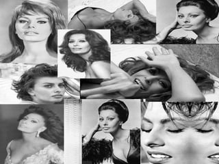 Diva Sofia Loren | PPS