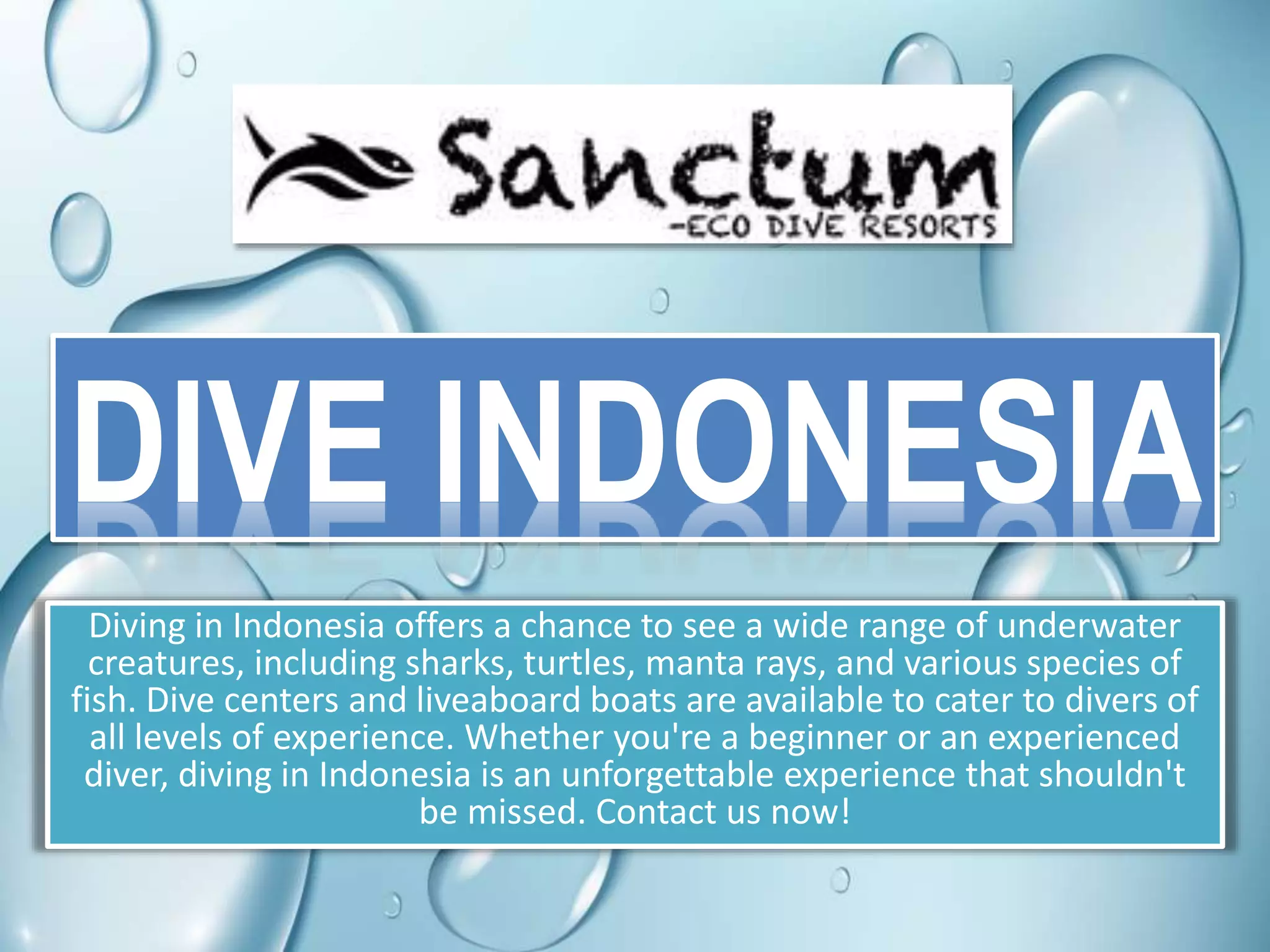 DIVE INDONESIA | PPT