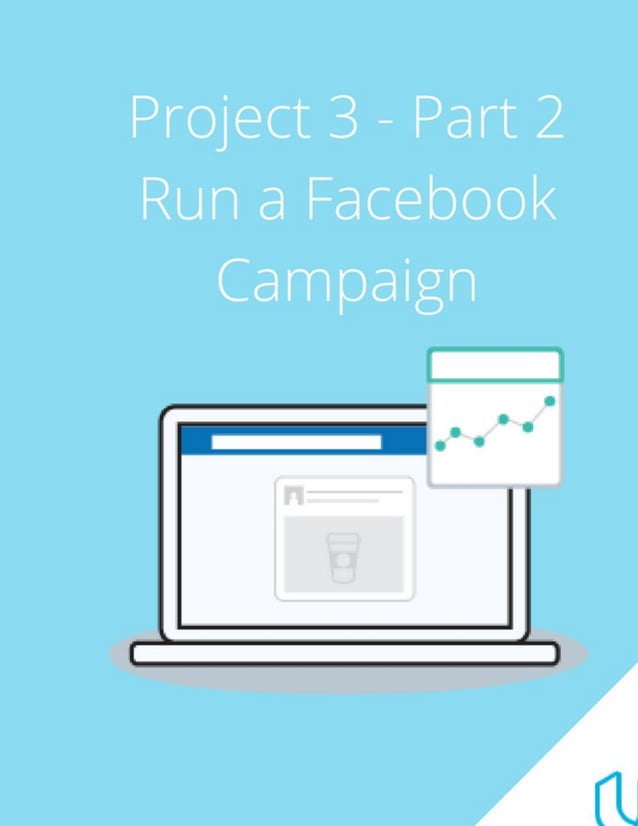 Paid Facebook Campaign | PDF